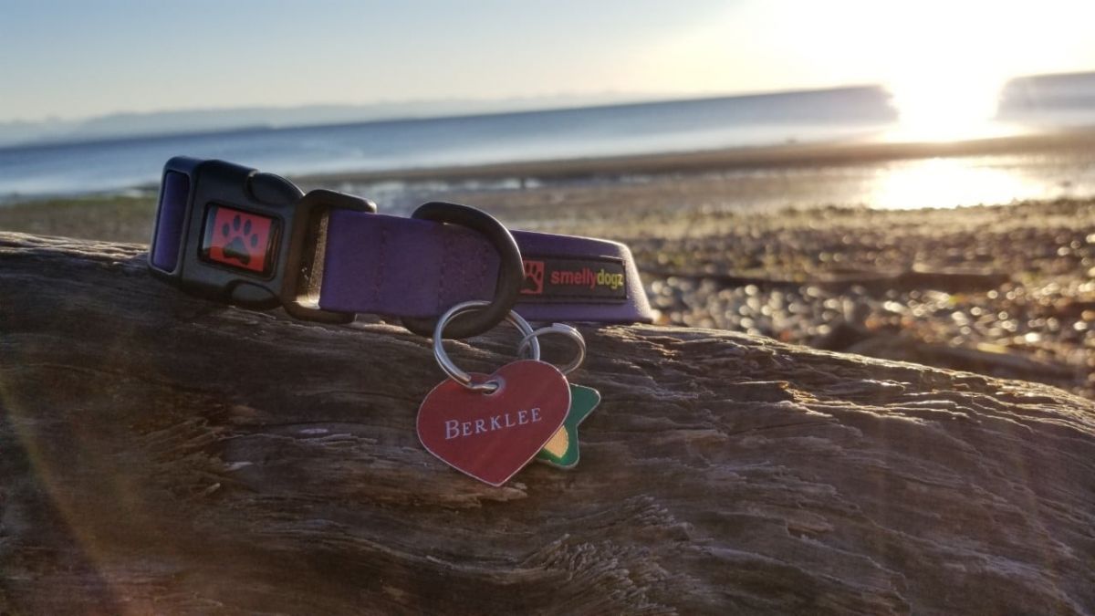 About Fresh Fetch - Our Story, Our Dedication, & Our Team