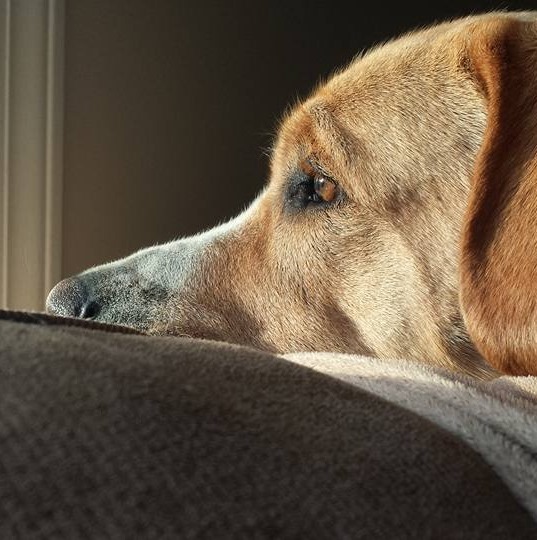 About Fresh Fetch - Our Story, Our Dedication, & Our Team